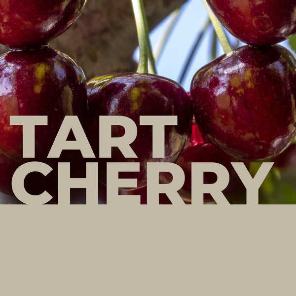 Why is Tart Cherry so amazing?